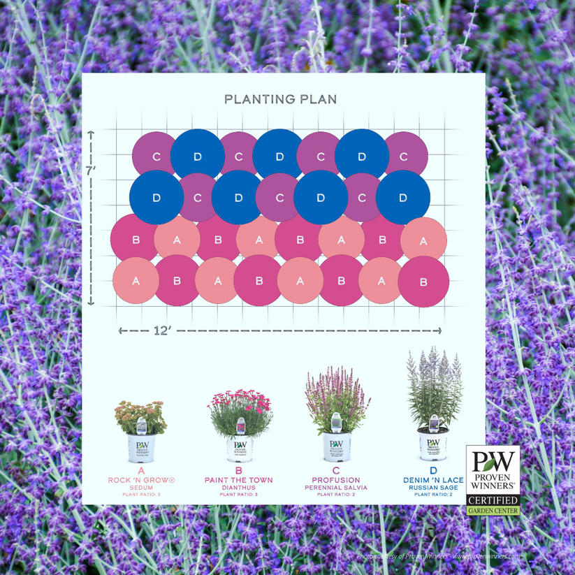 EZ Scape™ - Pollinator Sunscape – Garrison Farm & Garden