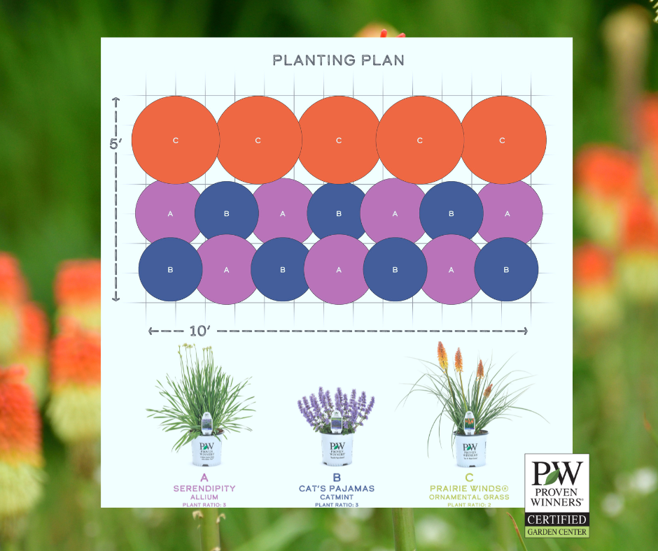 EZ Scape™ - Deer Resistant Sunscape #2 – Garrison Farm & Garden